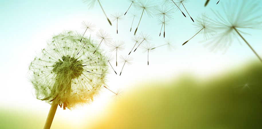 Olá, Mundo! Conheça a história da fundadora da Knowyou